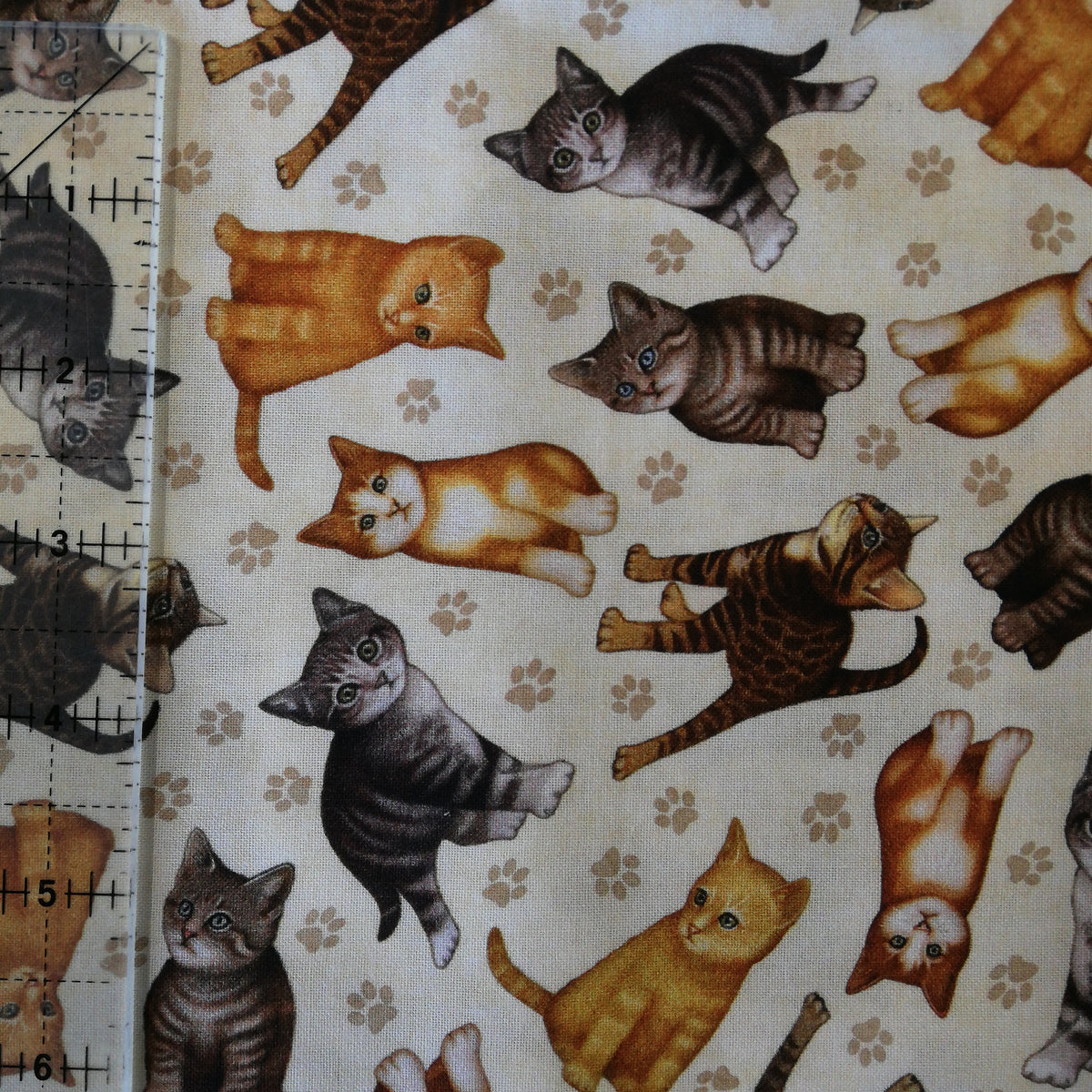Kitten Toss, multi - cotton fabric – Pinkpossum